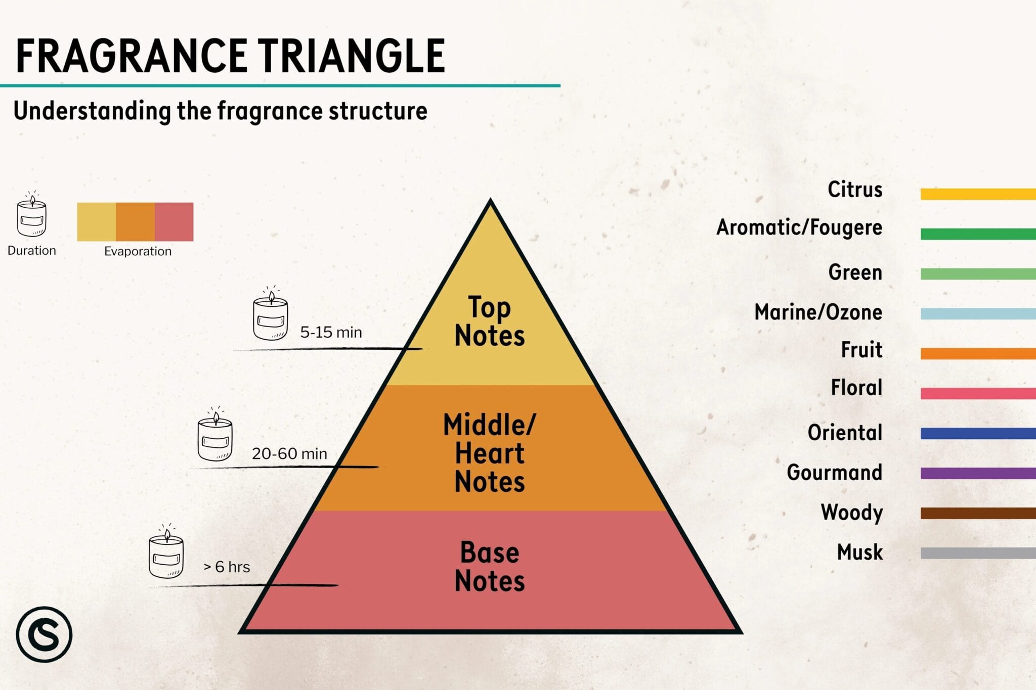 Apa Itu Notes Parfum? Memahami Top, Middle, dan Base Notes